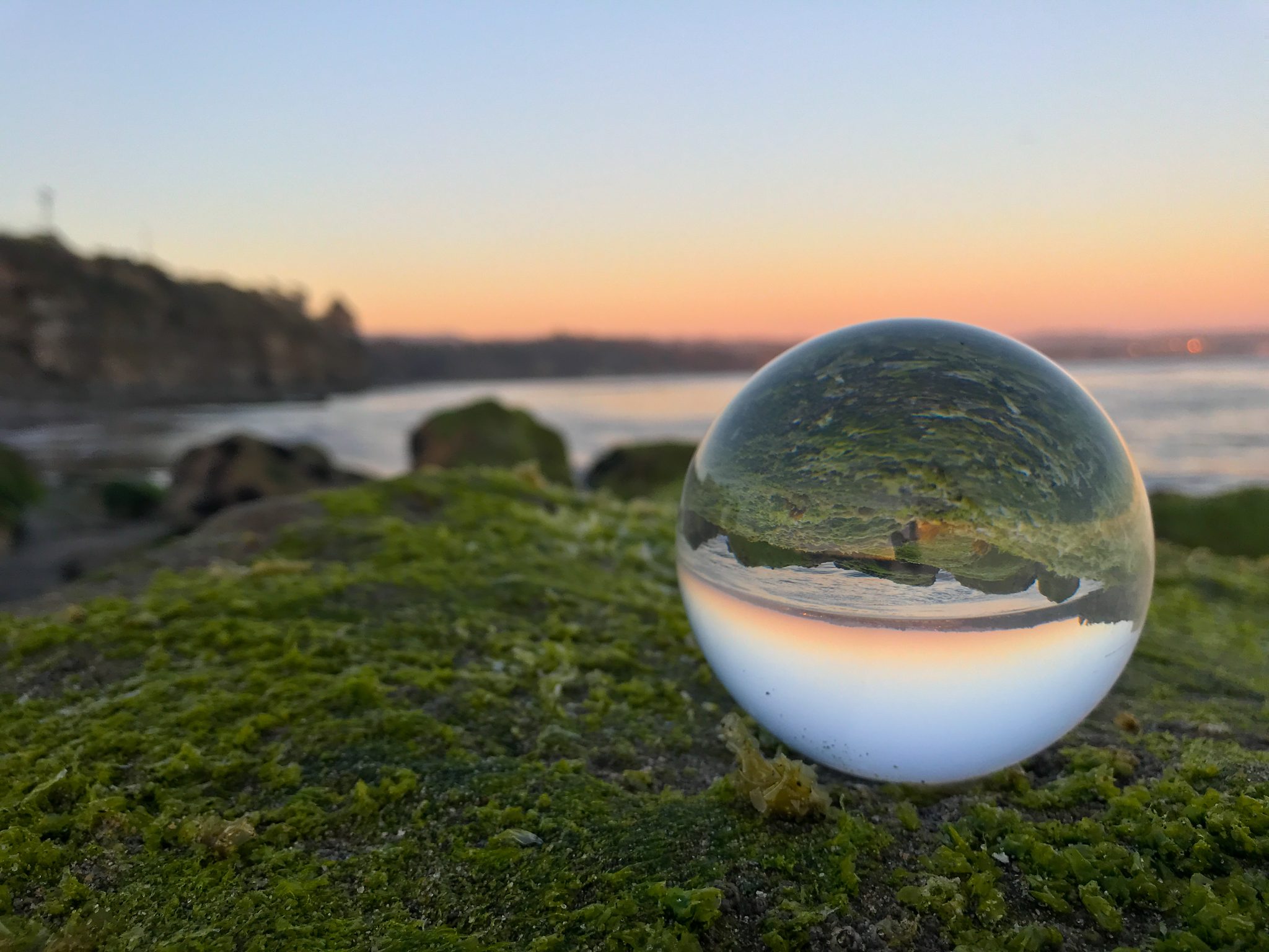 5 Tips for Lens Ball Photography - Kristina Rust Photography