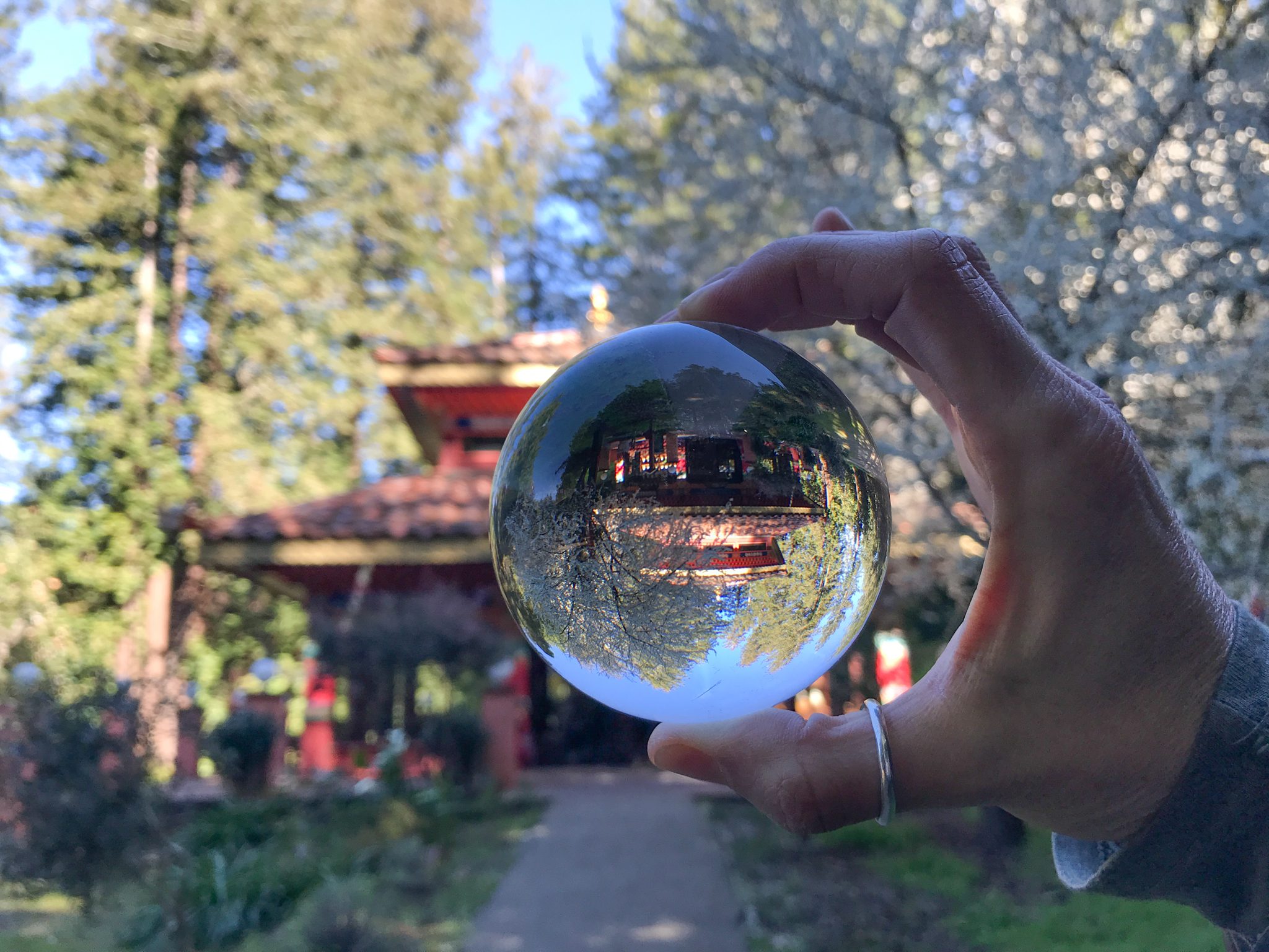 5 Tips for Lens Ball Photography - Kristina Rust Photography